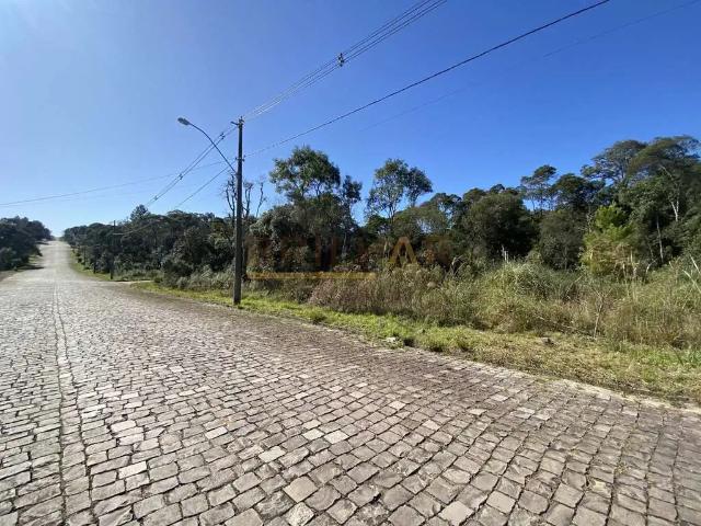 Terreno / Lote para Venda em Caxias do Sul/RS Ana Rech
