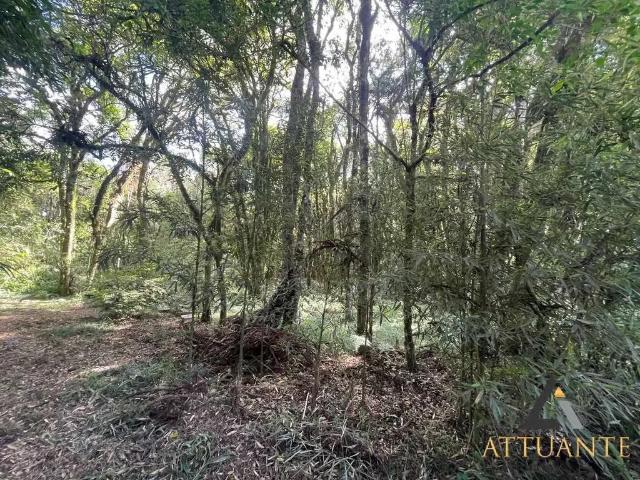 Terreno / Lote para Venda em Caxias do Sul/RS Ana Rech