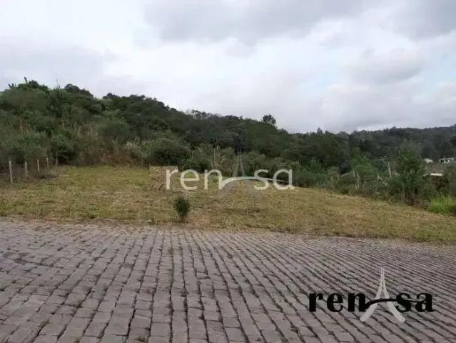 Terreno / Lote para Venda em Caxias do Sul/RS Ana Rech