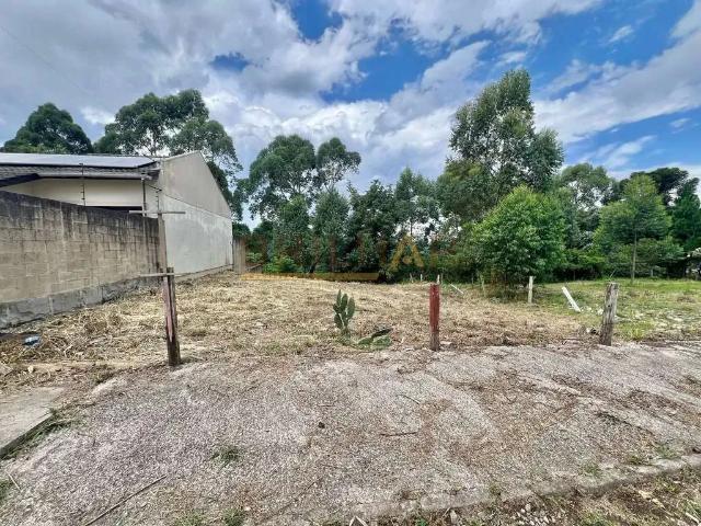 Terreno / Lote para Venda em Caxias do Sul/RS Ana Rech