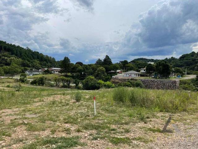 Terreno / Lote para Venda em Caxias do Sul/RS Ana Rech