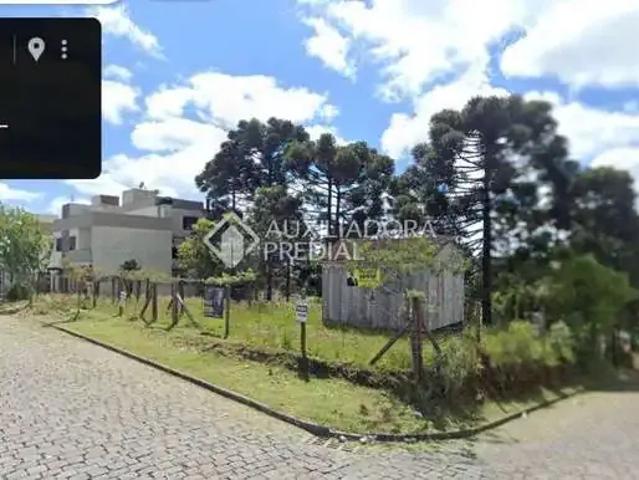 Terreno / Lote para Venda em Caxias do Sul/RS Ana Rech