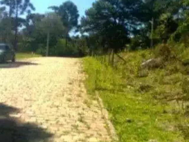 Terreno / Lote para Venda em Caxias do Sul/RS Ana Rech