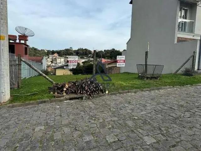 Terreno / Lote para Venda em Caxias do Sul/RS Ana Rech