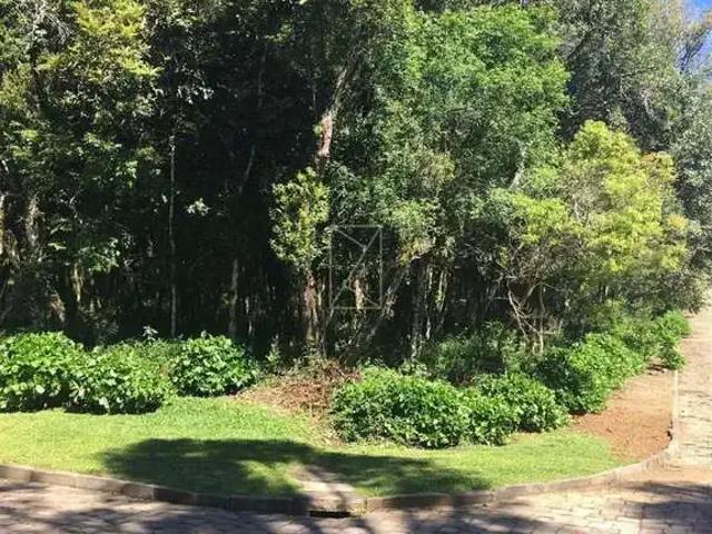 Terreno / Lote para Venda em Caxias do Sul/RS Ana Rech