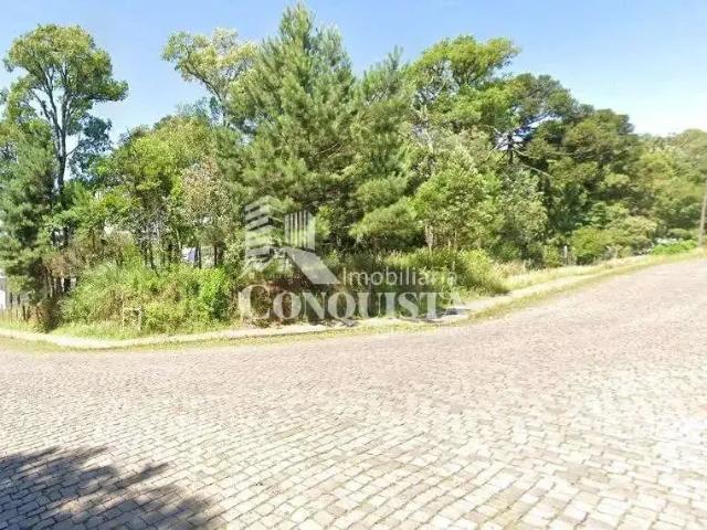 Terreno / Lote para Venda em Caxias do Sul/RS Ana Rech