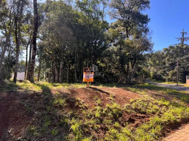 Terreno / Lote para Venda em Caxias do Sul/RS Ana Rech