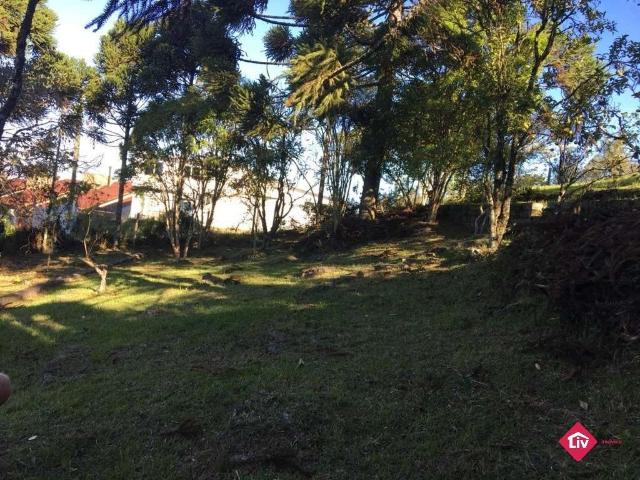 Terreno / Lote para Venda em Caxias do Sul/RS Ana Rech