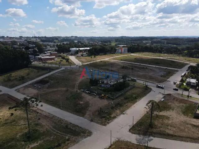 Terreno / Lote para Venda em Caxias do Sul/RS Ana Rech