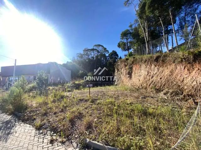 Terreno / Lote para Venda em Caxias do Sul/RS Ana Rech