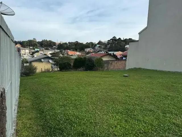 Terreno / Lote para Venda em Caxias do Sul/RS Ana Rech