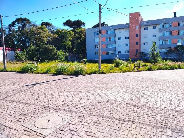 Terreno / Lote para Venda em Caxias do Sul/RS Ana Rech