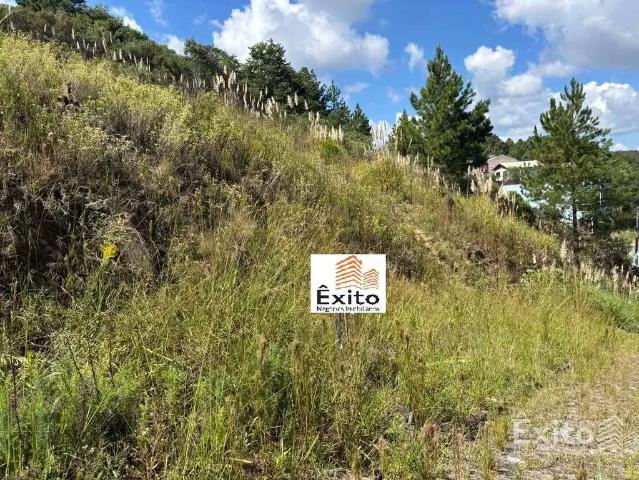 Terreno / Lote para Venda em Caxias do Sul/RS Ana Rech