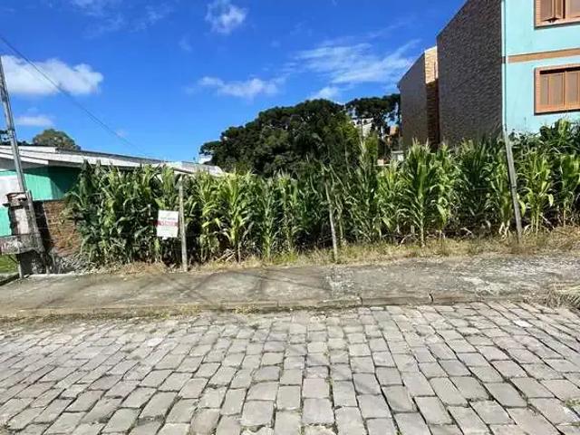 Terreno / Lote para Venda em Caxias do Sul/RS Ana Rech