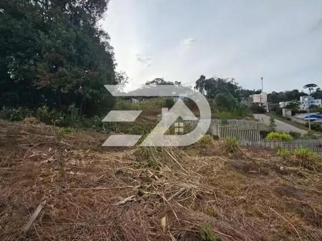 Terreno / Lote para Venda em Caxias do Sul/RS Ana Rech