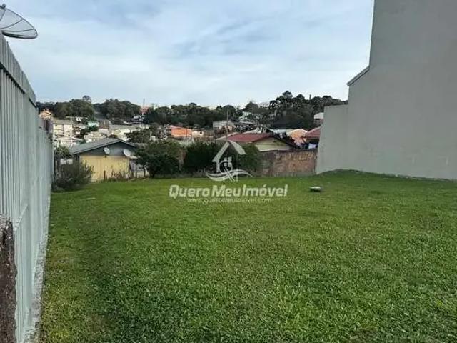 Terreno / Lote para Venda em Caxias do Sul/RS Ana Rech