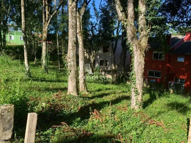 Terreno / Lote para Venda em Caxias do Sul/RS Ana Rech