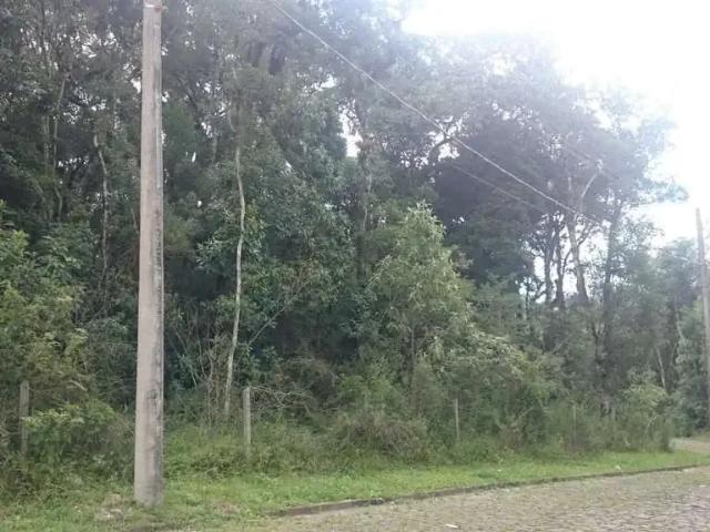 Terreno / Lote para Venda em Caxias do Sul/RS Ana Rech
