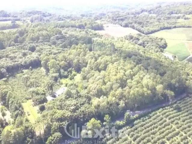 Terreno / Lote para Venda em Caxias do Sul/RS Ana Rech