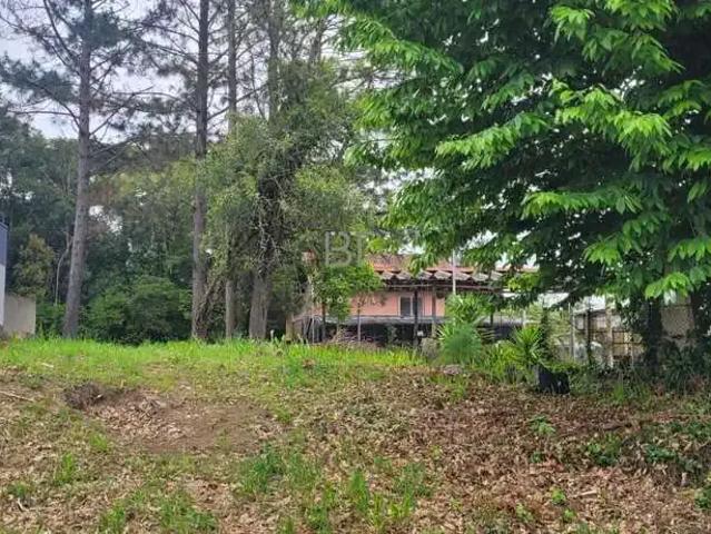 Terreno / Lote para Venda em Caxias do Sul/RS Ana Rech