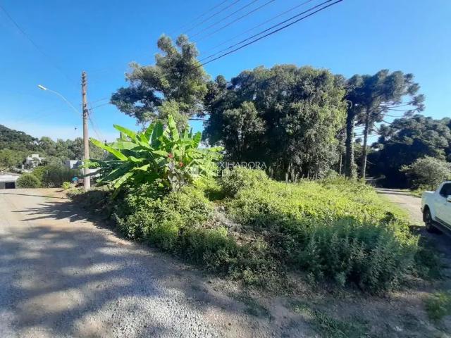 Terreno / Lote para Venda em Caxias do Sul/RS Ana Rech