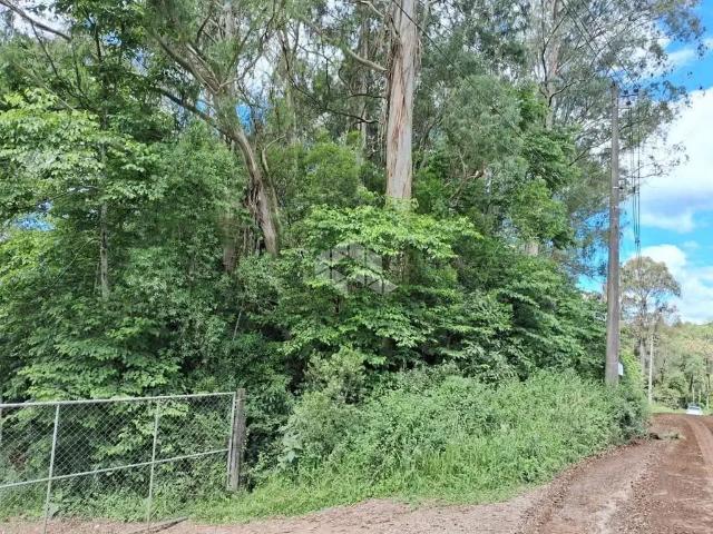 Terreno / Lote para Venda em Caxias do Sul/RS Ana Rech