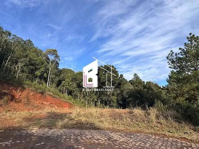 Terreno / Lote para Venda em Caxias do Sul/RS Ana Rech