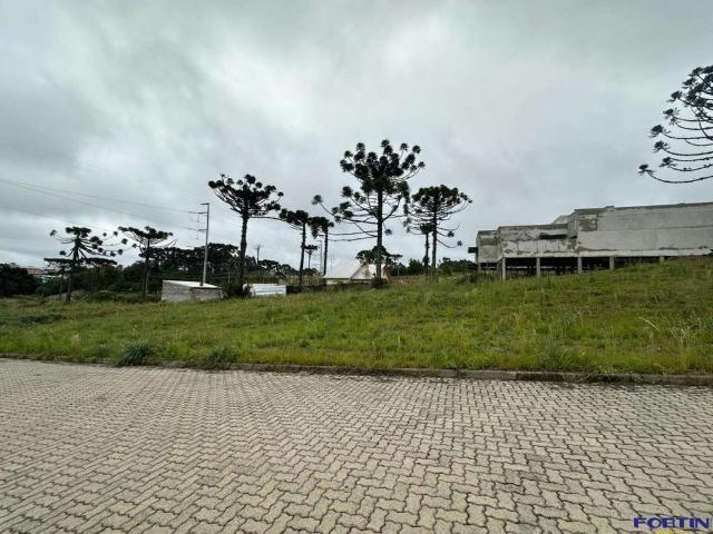 Terreno / Lote para Venda em Caxias do Sul/RS Ana Rech