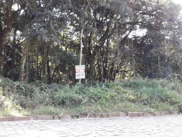 Terreno / Lote para Venda em Caxias do Sul/RS Ana Rech