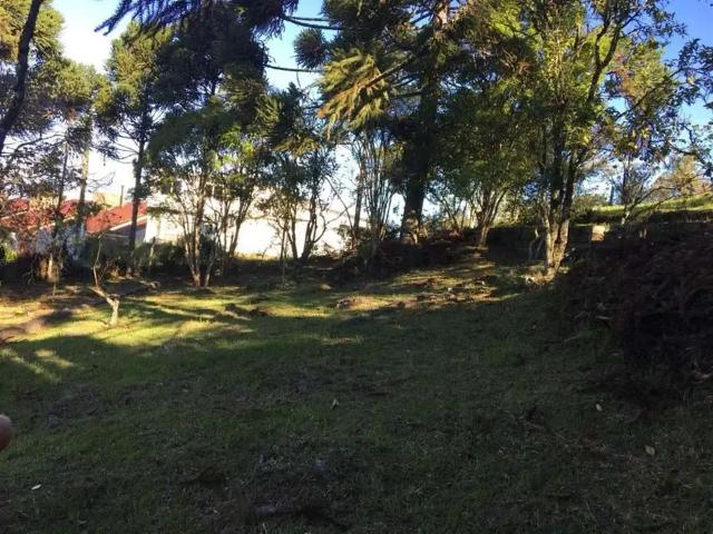 Terreno / Lote para Venda em Caxias do Sul/RS Ana Rech