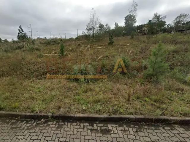 Terreno / Lote para Venda em Caxias do Sul/RS Ana Rech