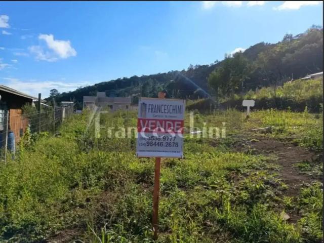Terreno / Lote para Venda em Caxias do Sul/RS Ana Rech