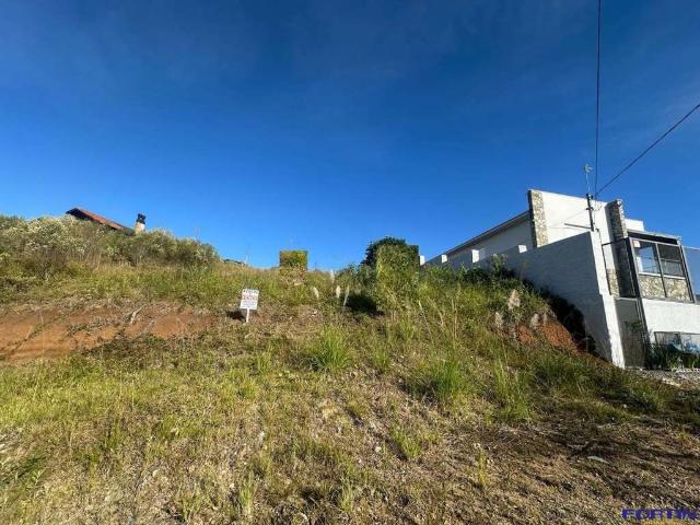 Terreno / Lote para Venda em Caxias do Sul/RS Ana Rech