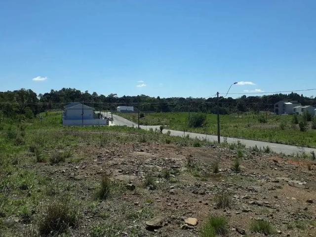 Terreno / Lote para Venda em Caxias do Sul/RS Bela Vista