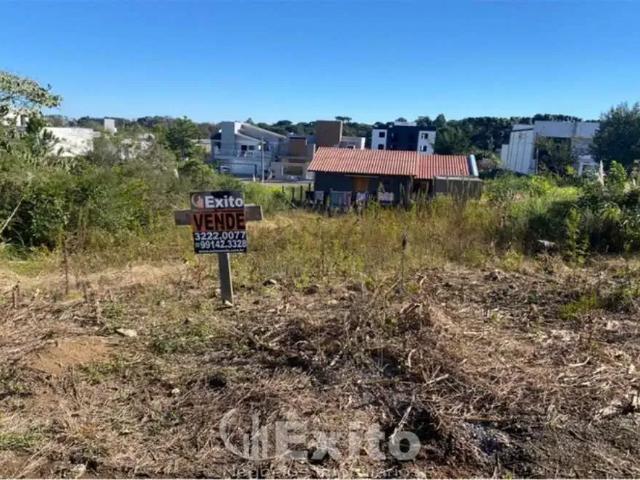 Terreno / Lote para Venda em Caxias do Sul/RS Bela Vista