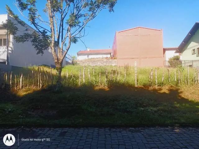 Terreno / Lote para Venda em Caxias do Sul/RS Bela Vista