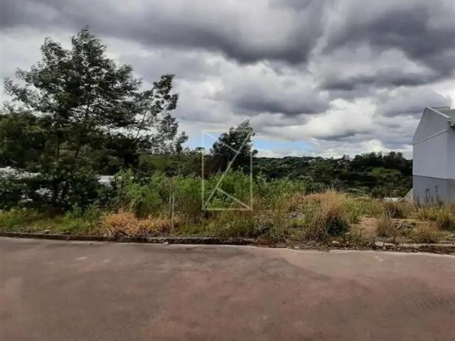 Terreno / Lote para Venda em Caxias do Sul/RS Bela Vista