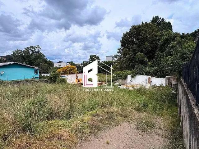 Terreno / Lote para Venda em Caxias do Sul/RS Bela Vista