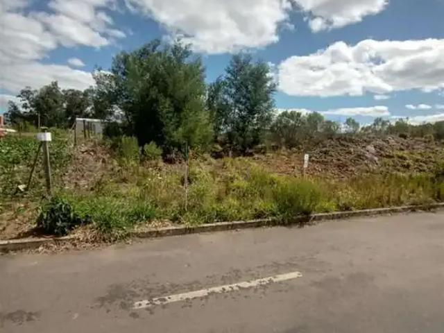 Terreno / Lote para Venda em Caxias do Sul/RS Bela Vista