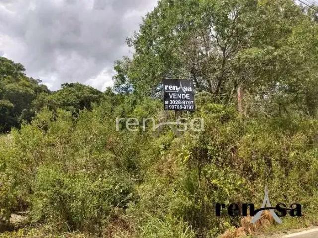 Terreno / Lote para Venda em Caxias do Sul/RS Bela Vista