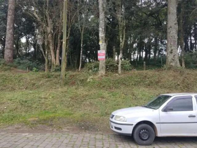 Terreno / Lote para Venda em Caxias do Sul/RS Bela Vista