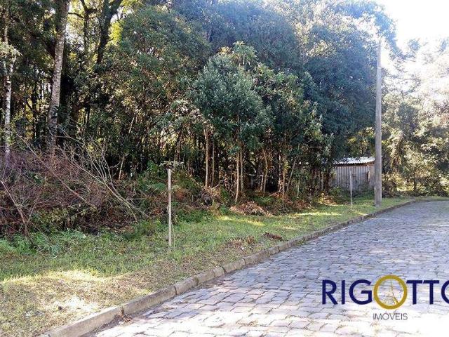 Terreno / Lote para Venda em Caxias do Sul/RS Bela Vista