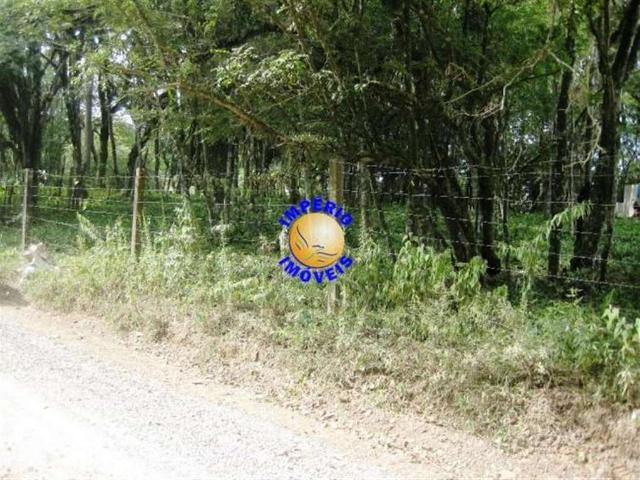 Terreno / Lote para Venda em Caxias do Sul/RS Bela Vista