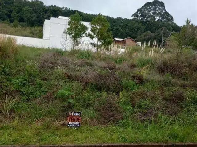 Terreno / Lote para Venda em Caxias do Sul/RS Bela Vista