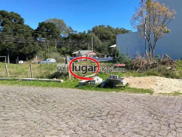 Terreno / Lote para Venda em Caxias do Sul/RS Bela Vista