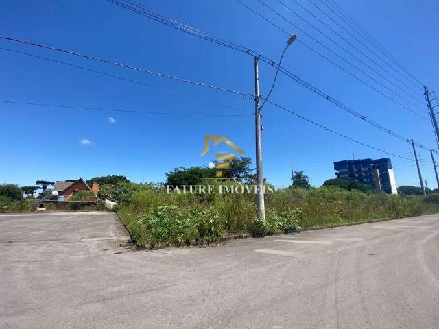 Terreno / Lote para Venda em Caxias do Sul/RS Bela Vista