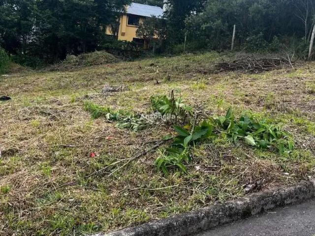 Terreno / Lote para Venda em Caxias do Sul/RS Bela Vista