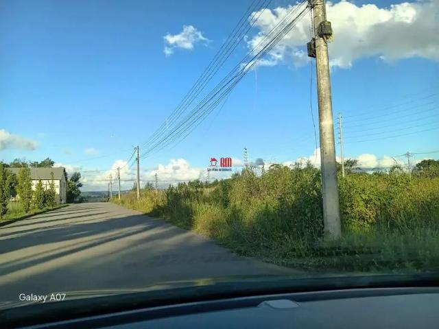 Terreno / Lote para Venda em Caxias do Sul/RS Bela Vista