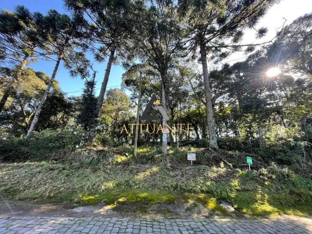 Terreno / Lote para Venda em Caxias do Sul/RS Bela Vista