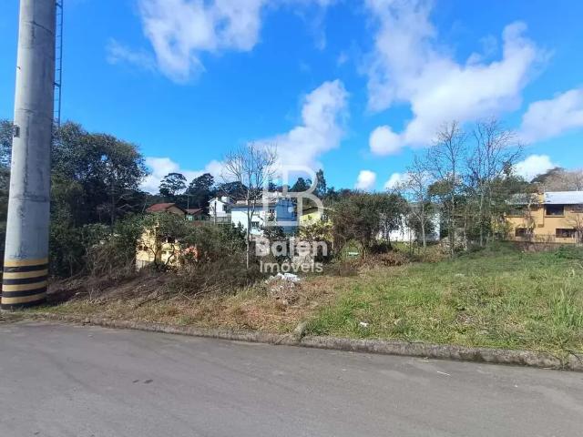 Terreno / Lote para Venda em Caxias do Sul/RS Bela Vista